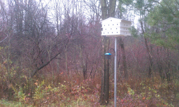 Water table pond install builder Michigan Lake Angelus, Michigan Water ...