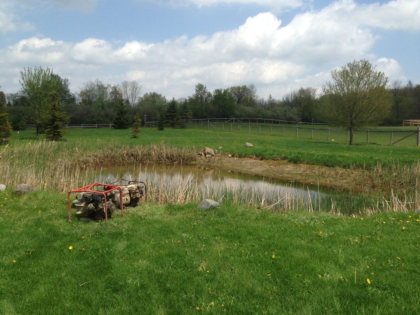 Backyard pond bank stabilization Michigan, Howell